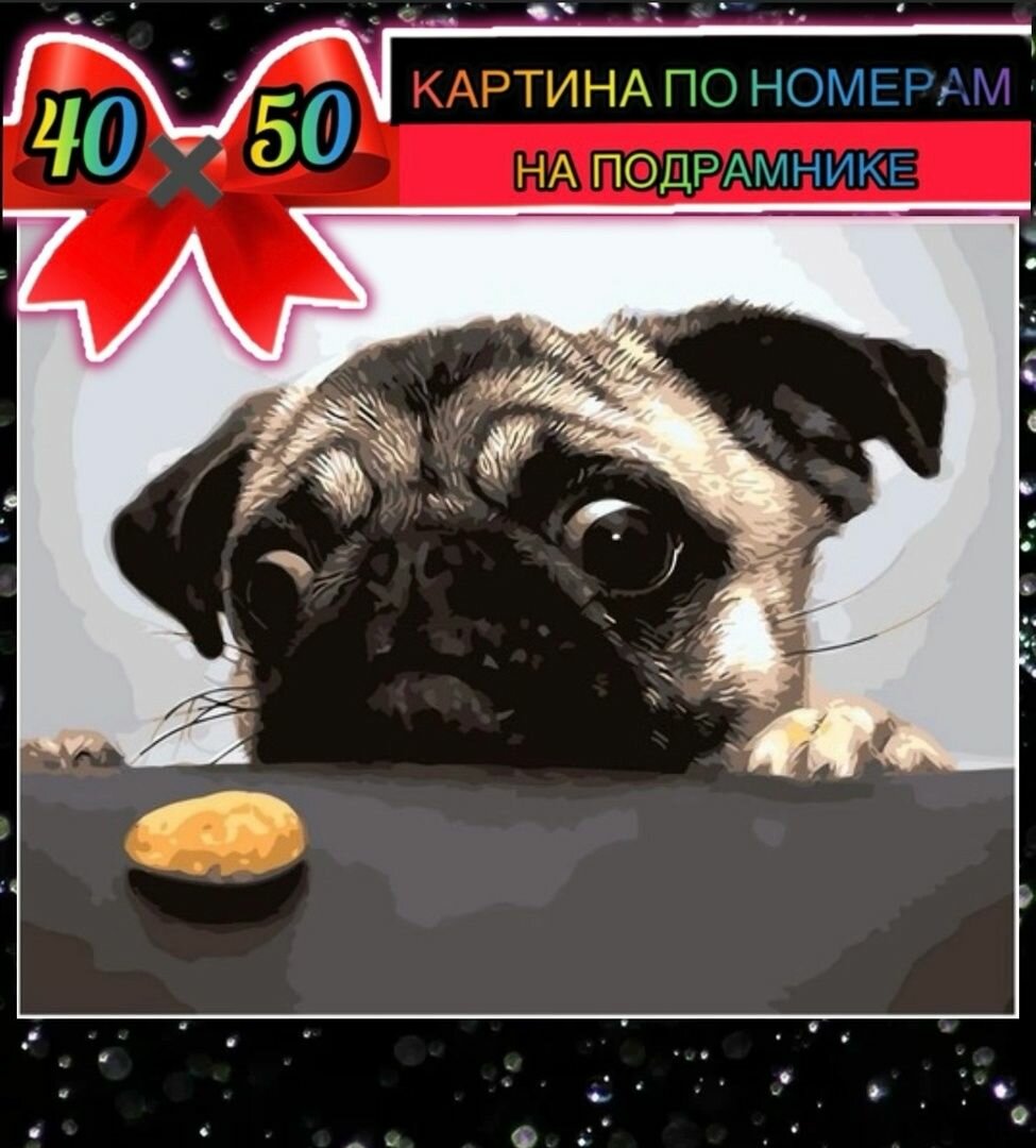 Картина по номерам 40*50 на подрамнике мопс, собака