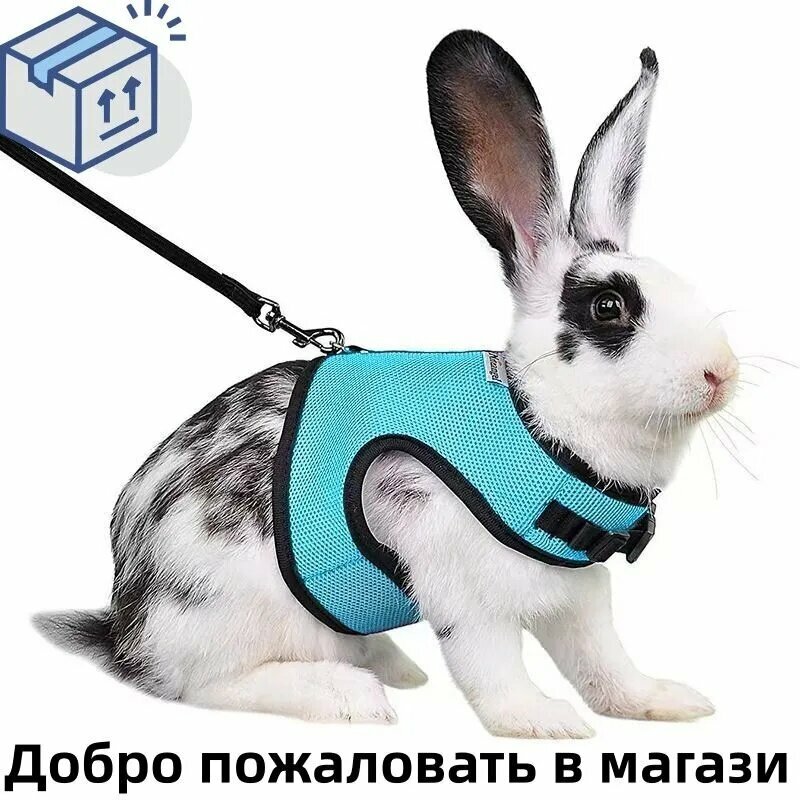 Бутик. Шлейка жилетка и поводок для грызунов кроликов шиншилл кошек собак