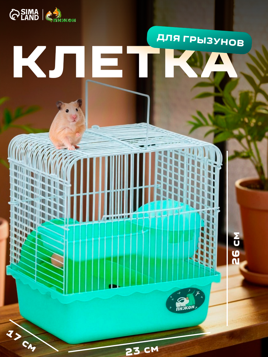 Клетка для грызунов "Пижон", 23 х 17 х 26 см, эмаль, зелёная