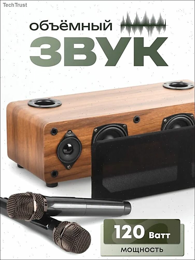 Караоке-система с 2 беспроводными микрофонами: мощная колонка для вечеринок, дома и дачи, Bluetooth аудиосистема для