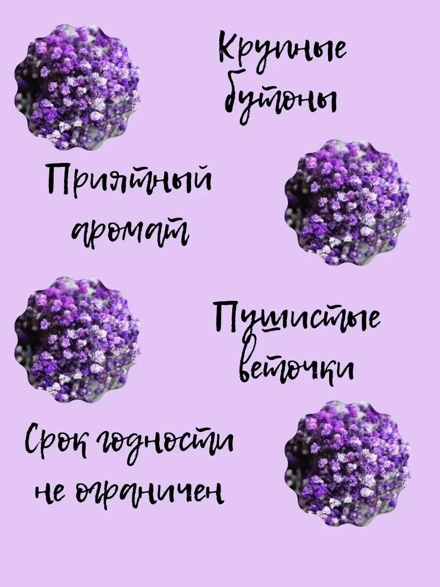 Гипсофила стабилизированная для декора — фото 1