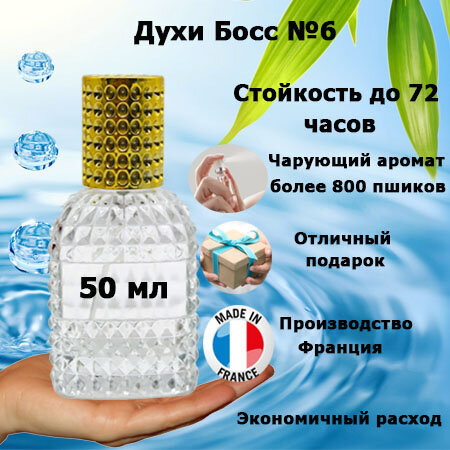 Масляные духи по мотивам Bosss №6, мужской аромат, флакон спрей 50 мл.