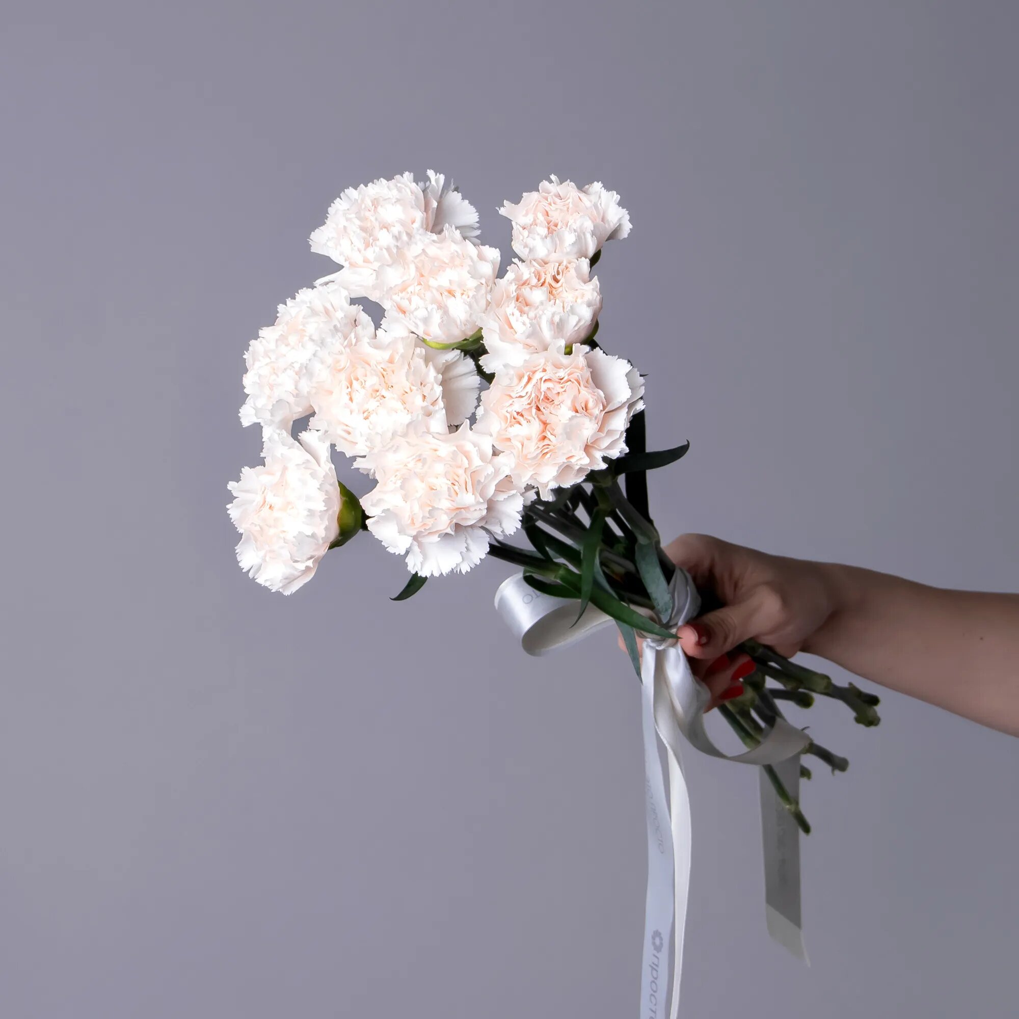 Букет Гвоздика "Брют" 9 шт Высота 60 см под ленту от "Простоцветы"