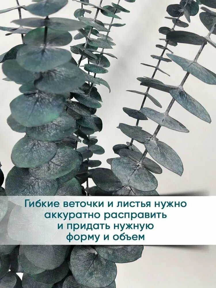 Сухоцветы, 55 см, 150 гр — фото 1