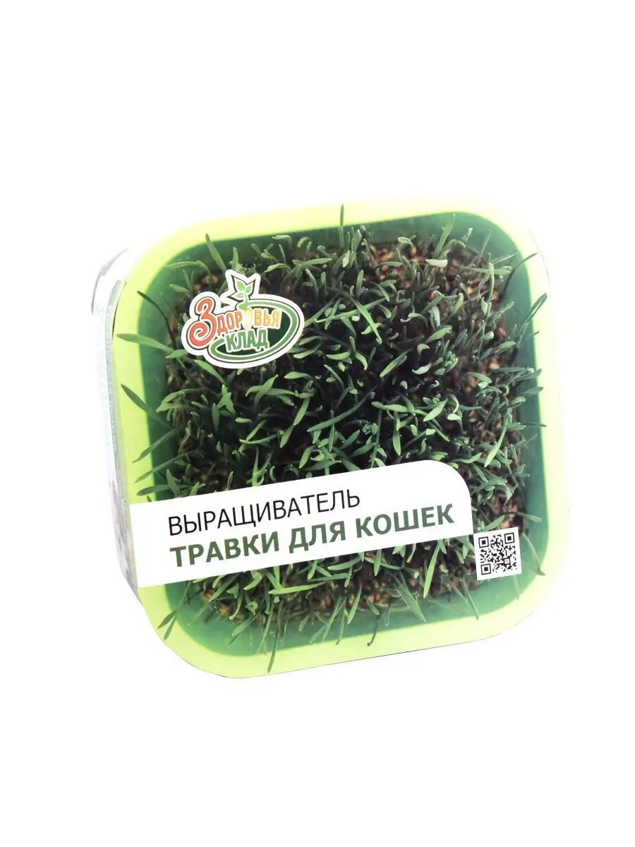 Проращиватель для зеленой травки