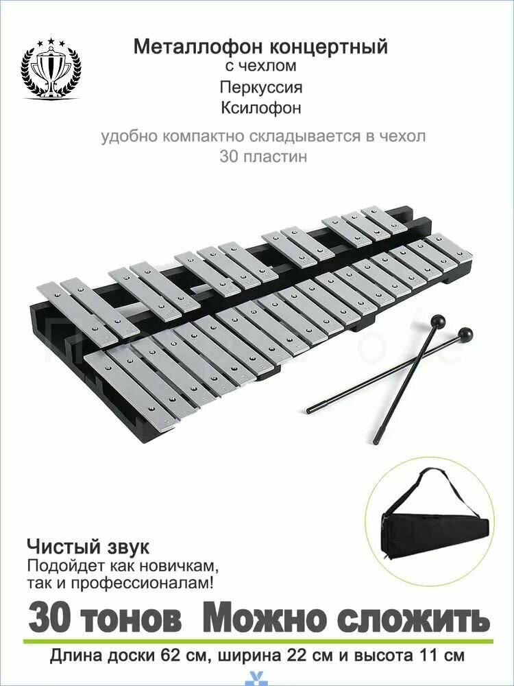GM Металлофон (глокеншпиль) в чехле 30 брусков. Fleet DS-30