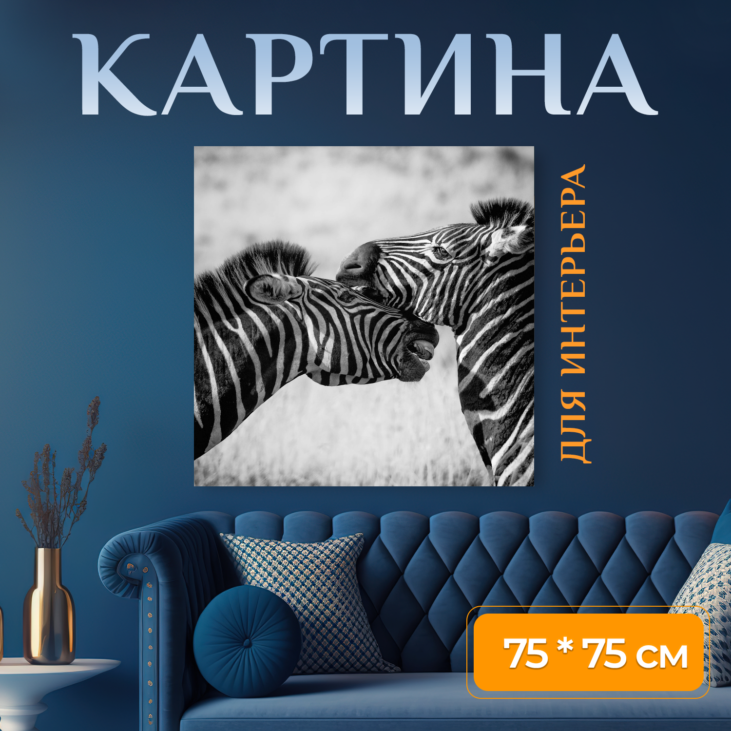 Картина на холсте "Зебры, пара, непарнокопытных" на подрамнике 75х75 см. для интерьера