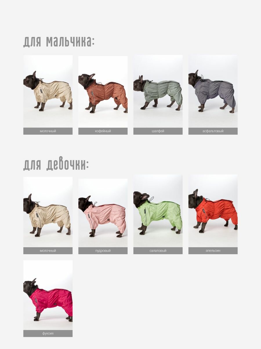 Одежда для животных — фото 1