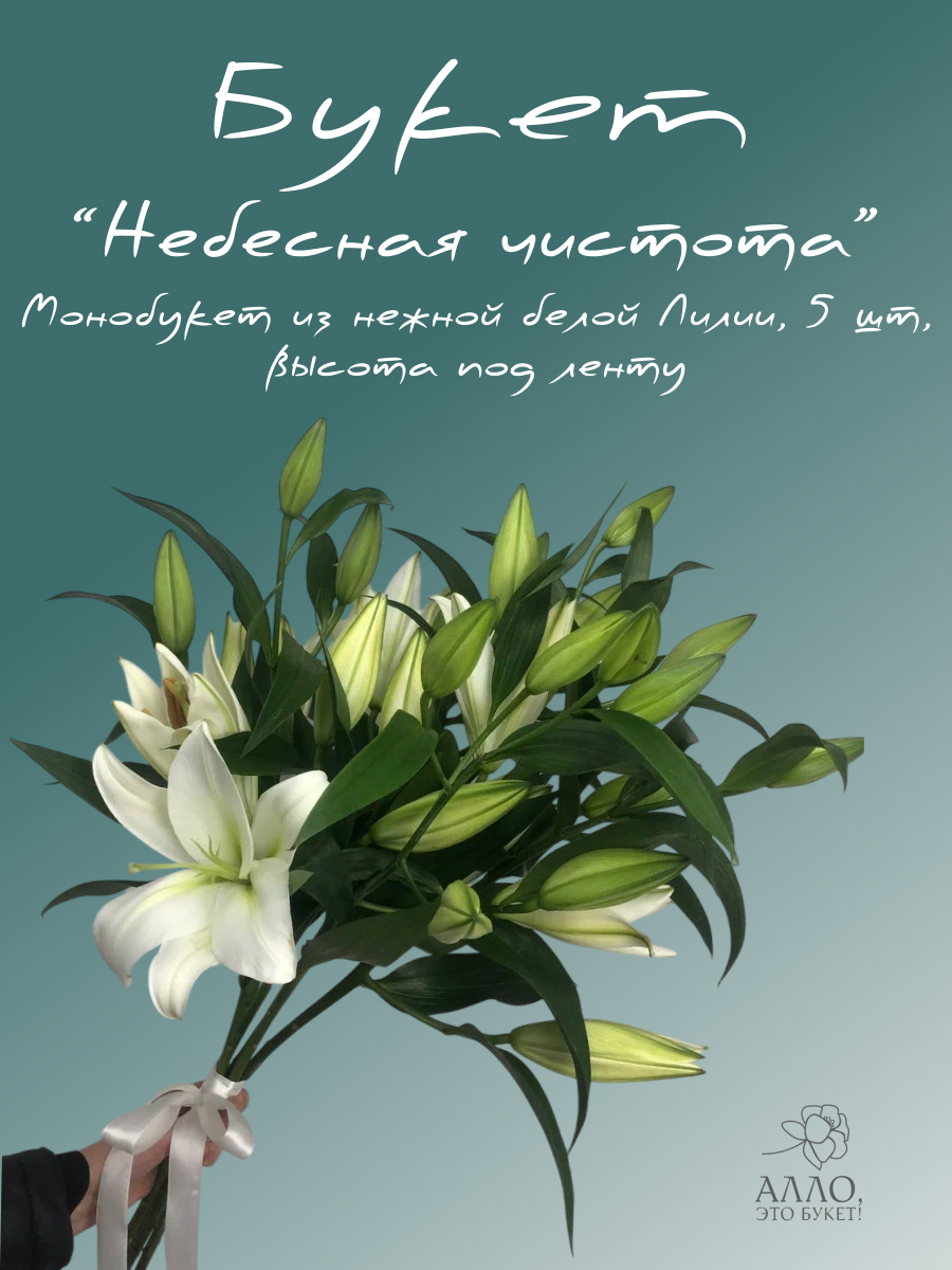 "Небесная чистота" Монобукет из ароматной белой Лилии с белоснежной лентой, 5 веток
