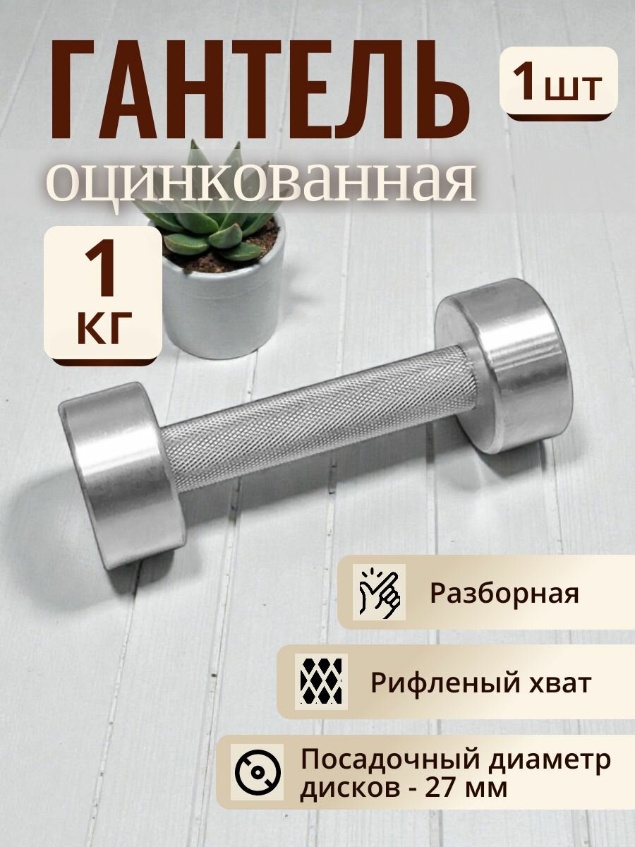 Гантель разборная оцинкованная 1 кг