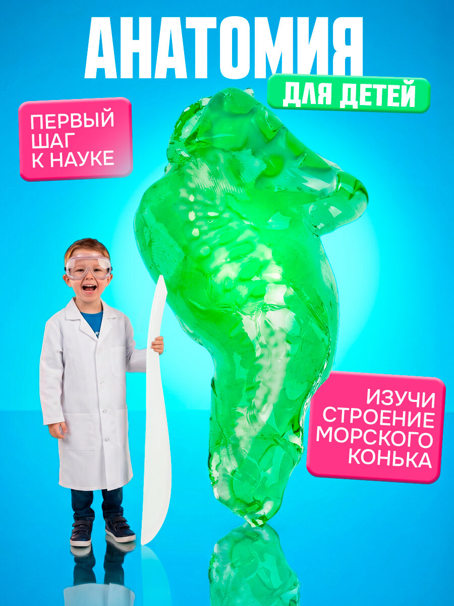 Набор опытов Анатомия для детей, для мальчиков, для девочек
