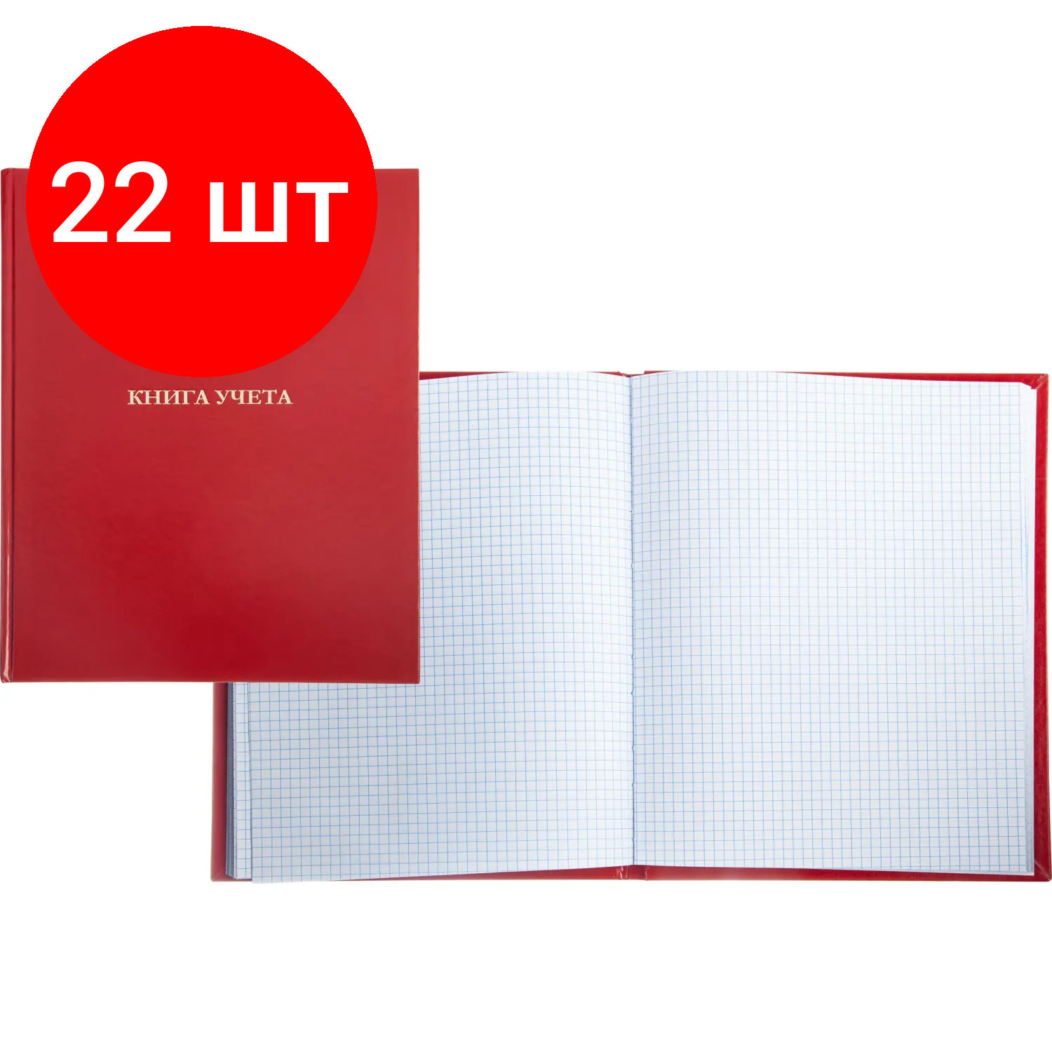 Комплект 22 штук, Книга учета 96л. в клетку офсет, обл. бумвинил красный