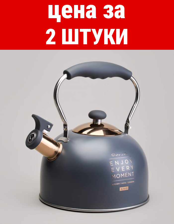 Комплект 2 шт, Чайник 2.5л нерж со свистком, индукция, 914-161