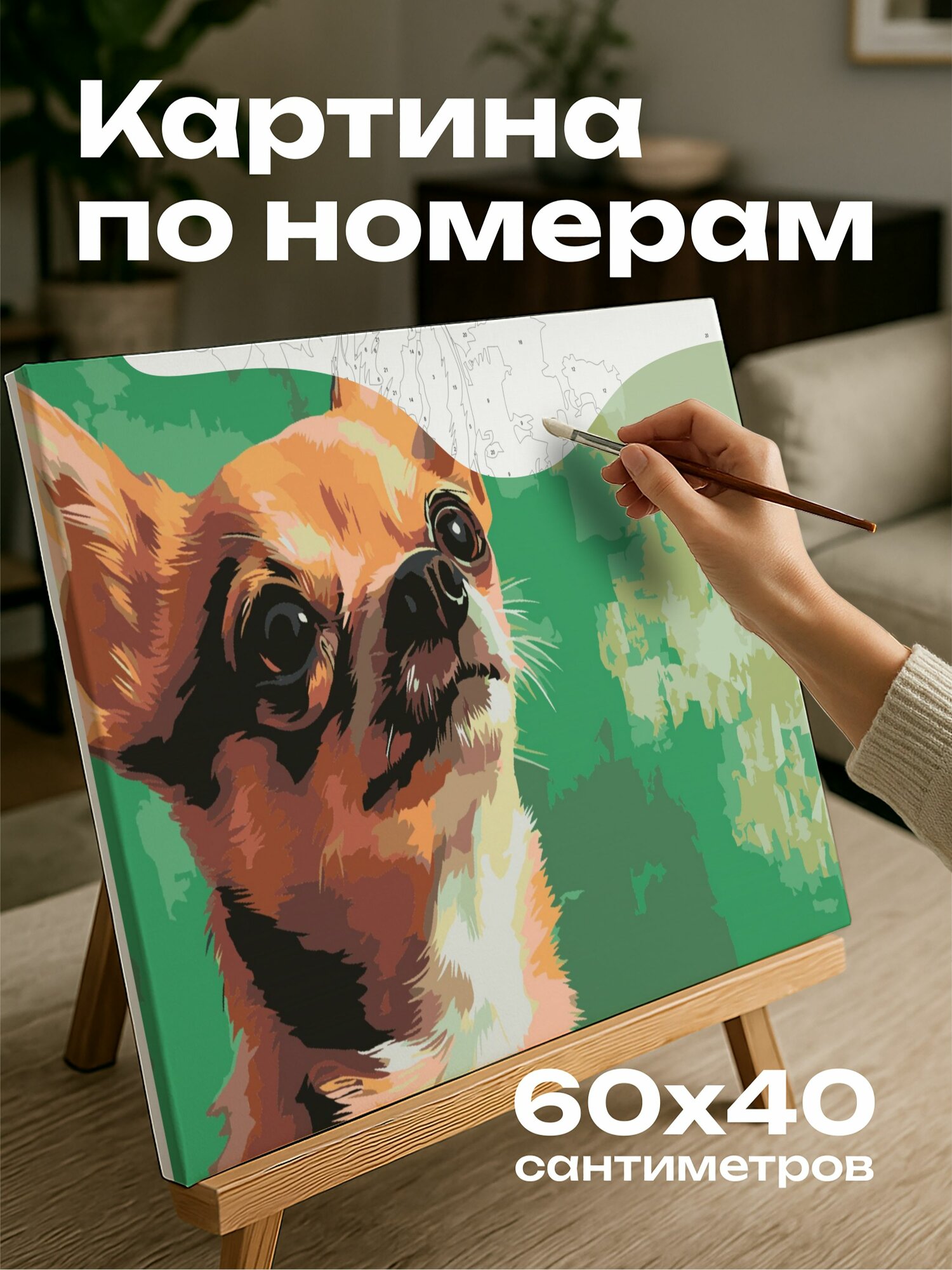 Картина по номерам 60x40 см, фотография, чихуахуа, зеленый фон, рост, лицо, четкость, фокус, масштаб 5:3