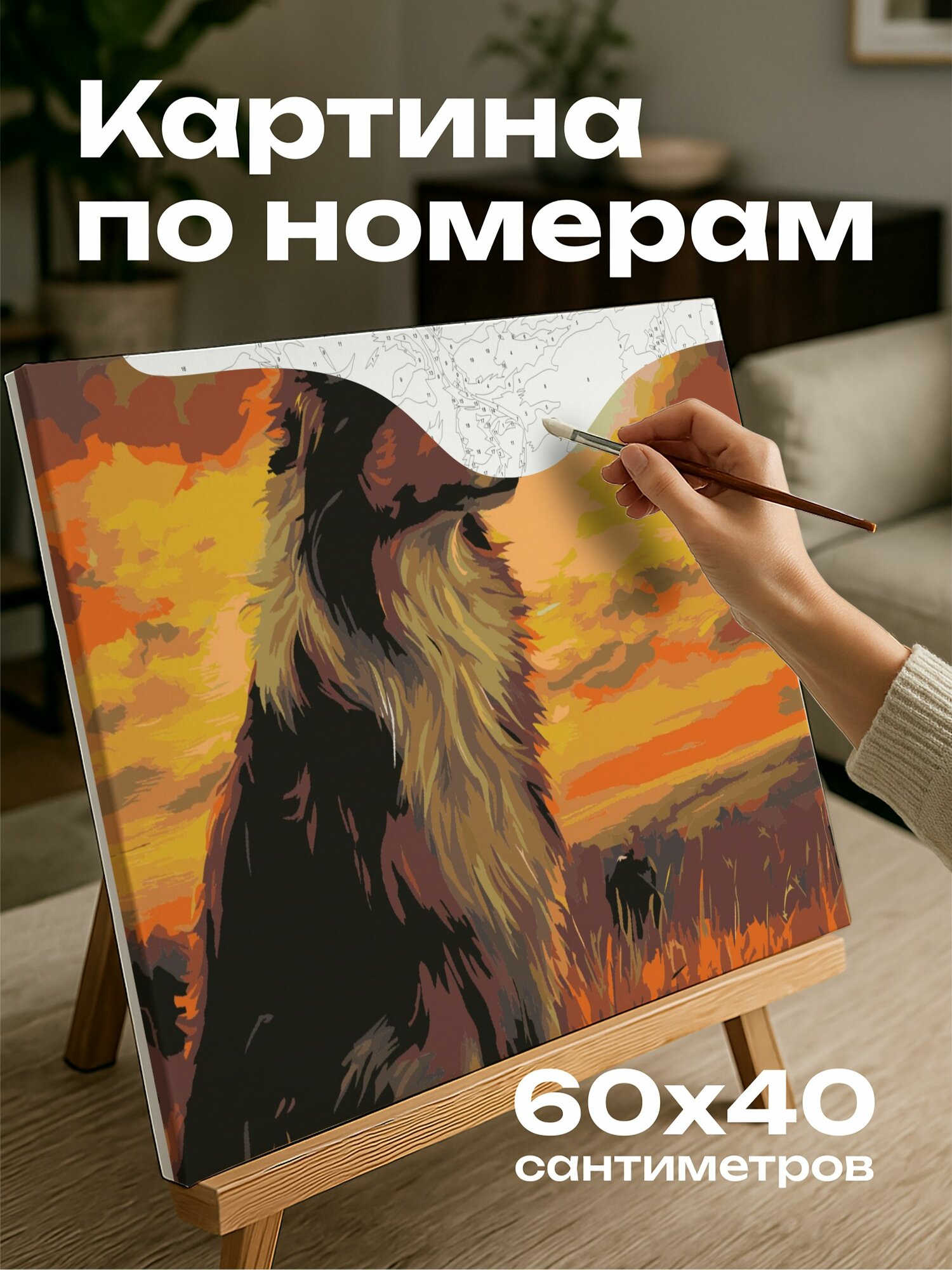 Картина по номерам 60x40 см, картина, масляная, колли, пасторальная, золотистые оттенки, закат, пейзаж, взгляд собаки