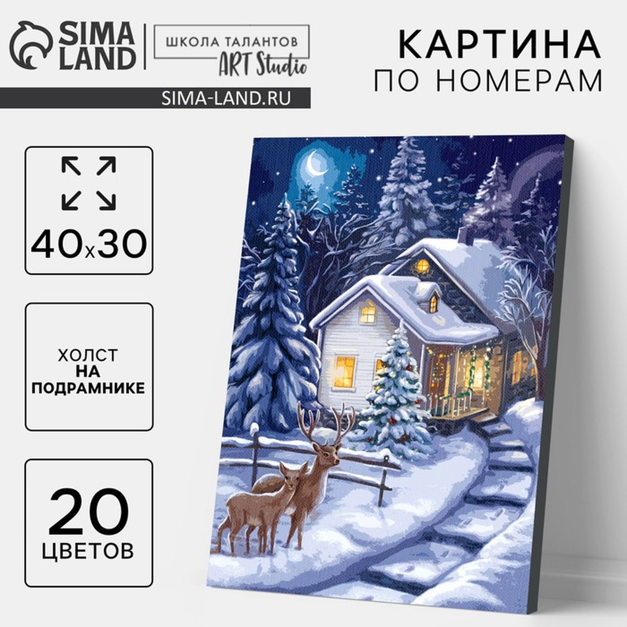Картина по номерам на холсте с подрамником «Зимняя ночь», 40 х 30 см
