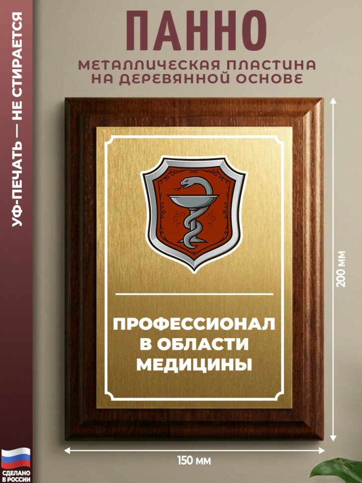 Настенный диплом "Профессионал в области медицины"