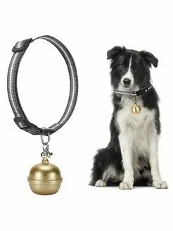 GPS трекер для собак и кошек 365, Maxmoll (водонепроницаемый) / GPS ошейник для маленьких собак, кошек, животных отслеживание местоположения