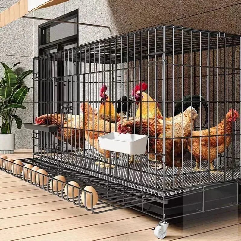 Складной курятник из проволочной сетки с автоматической уборкой помета для домашнего использования, универсальный для кур, уток и гусей 3 курицы 72*51*61