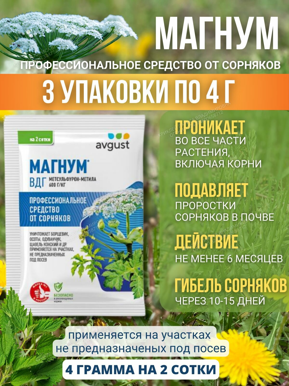 Магнум от сорняков и проростков в почве Avgust, 4 гр. набор 3 упаковки