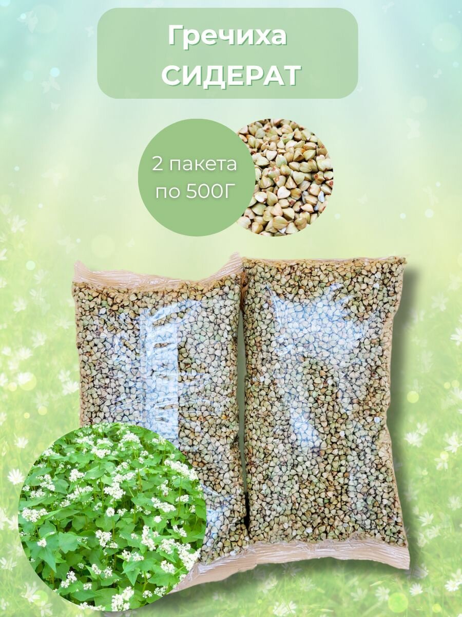 Гречиха семена сидерат, однолетник, 500г, 2 упаковки в наборе