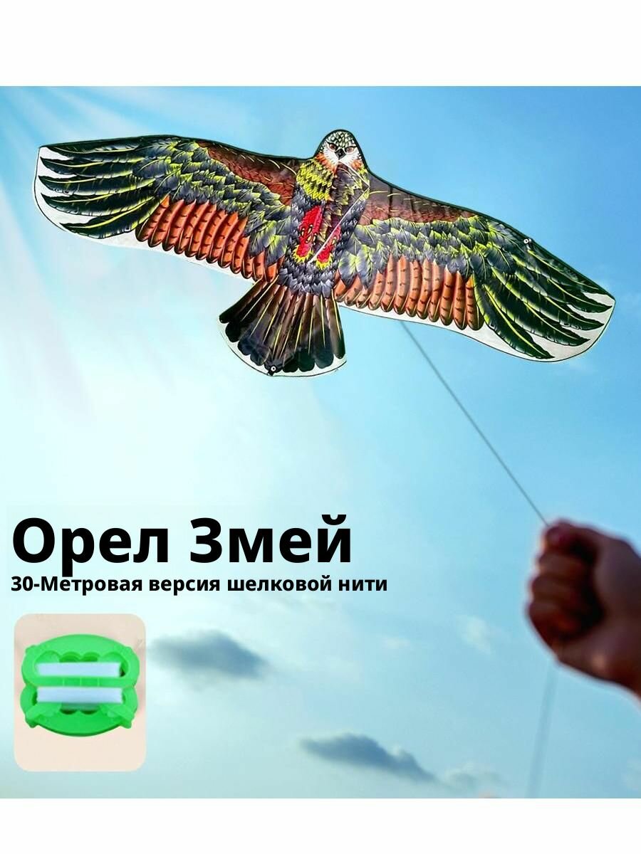 Коршун-орёл — фото 1