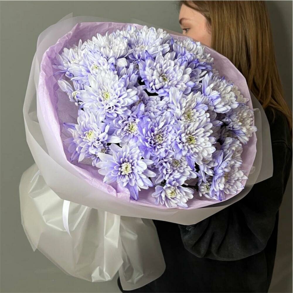Букет из кустовых сиреневых хризантем 25 шт, красивый букет цветов, шикарный, премиум цветы, премиум букет