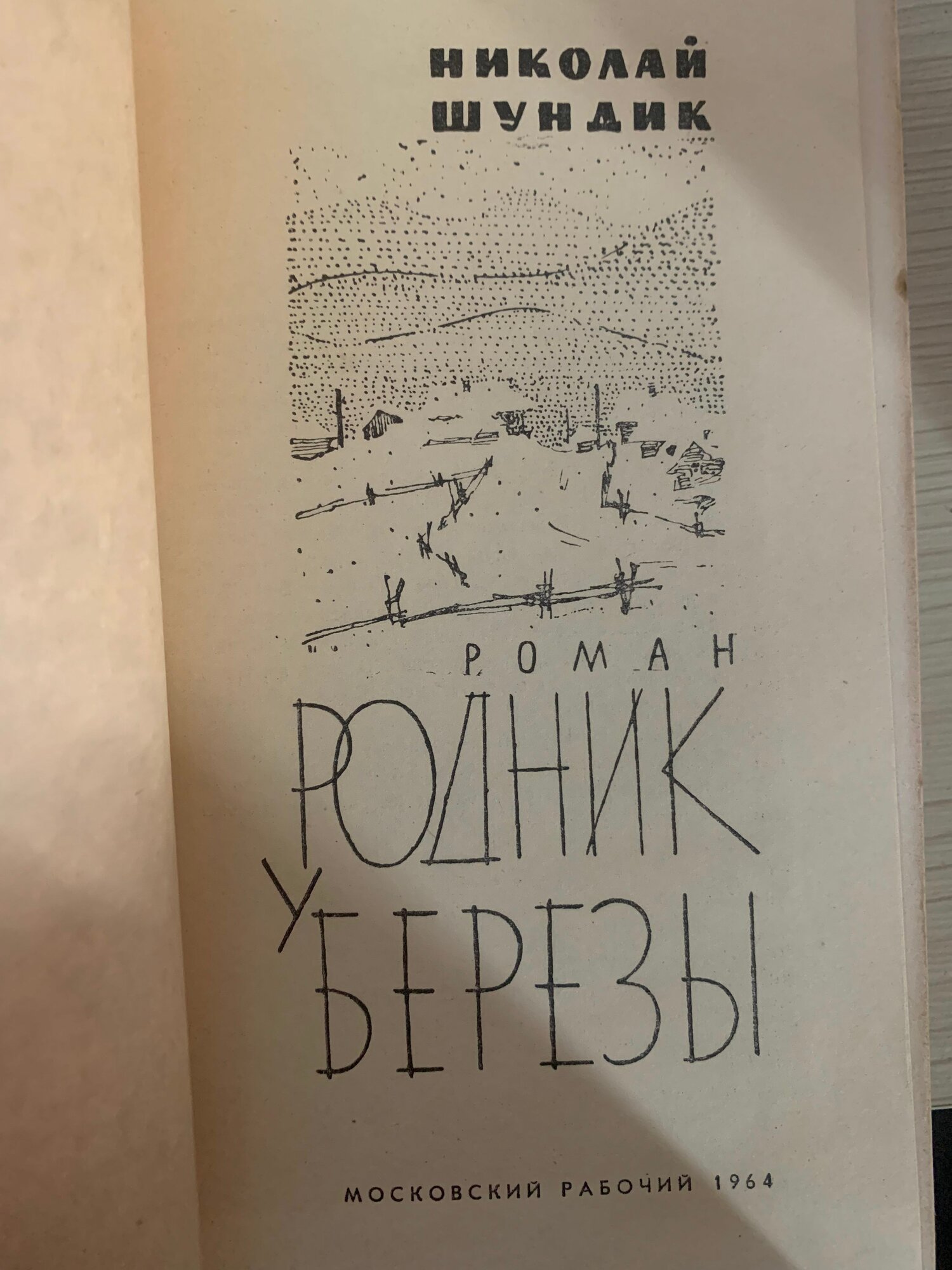 Родник у березы — фото 1