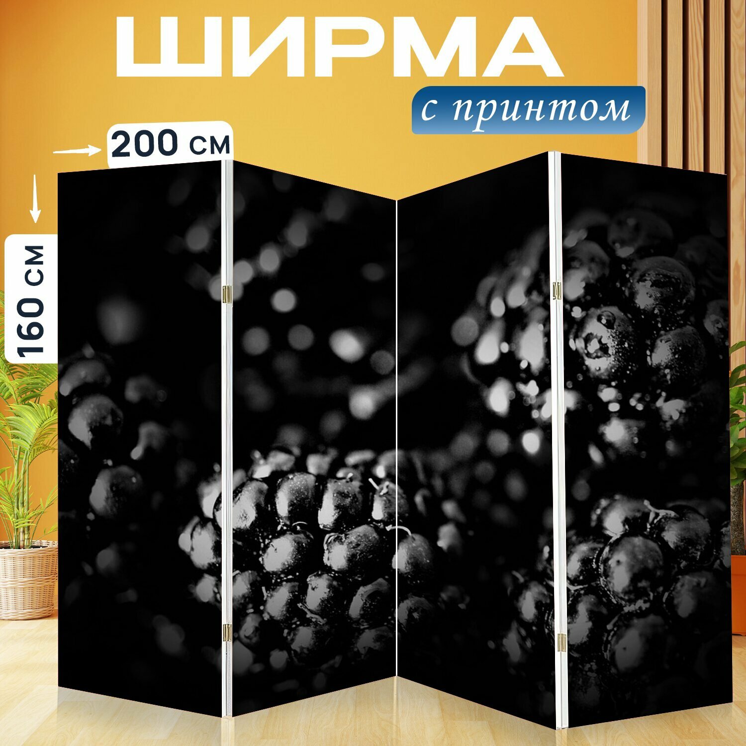 Ширма "Ежевика, ягоды, фрукты" перегородка для зонирования комнаты с принтом 200x160 см. на холсте