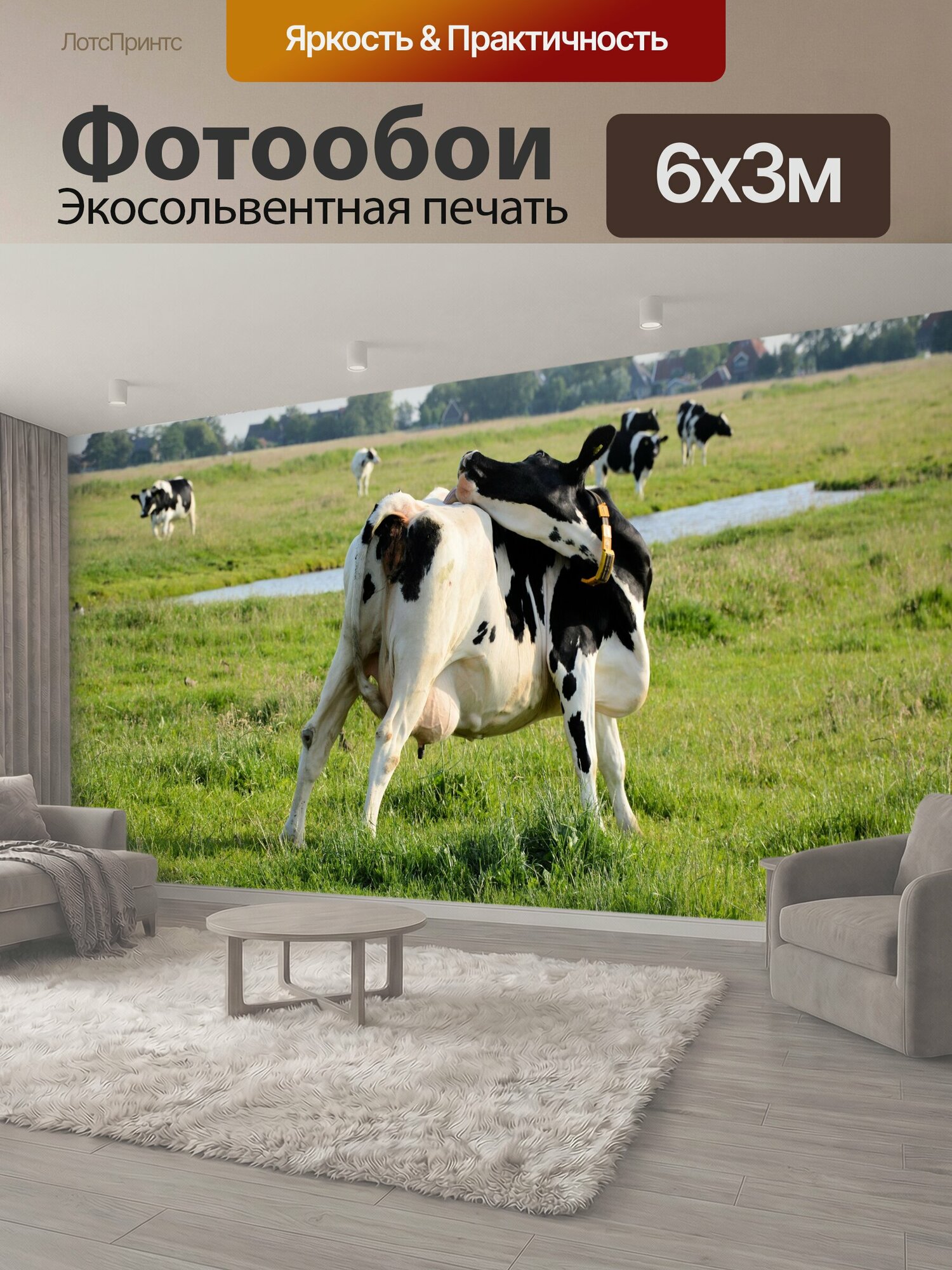 Фотообои "Гастроном Корова лижет себя на спине корова бык ферма животные природа пастбище трава лизать" 600x300 см. экосольвентная печать