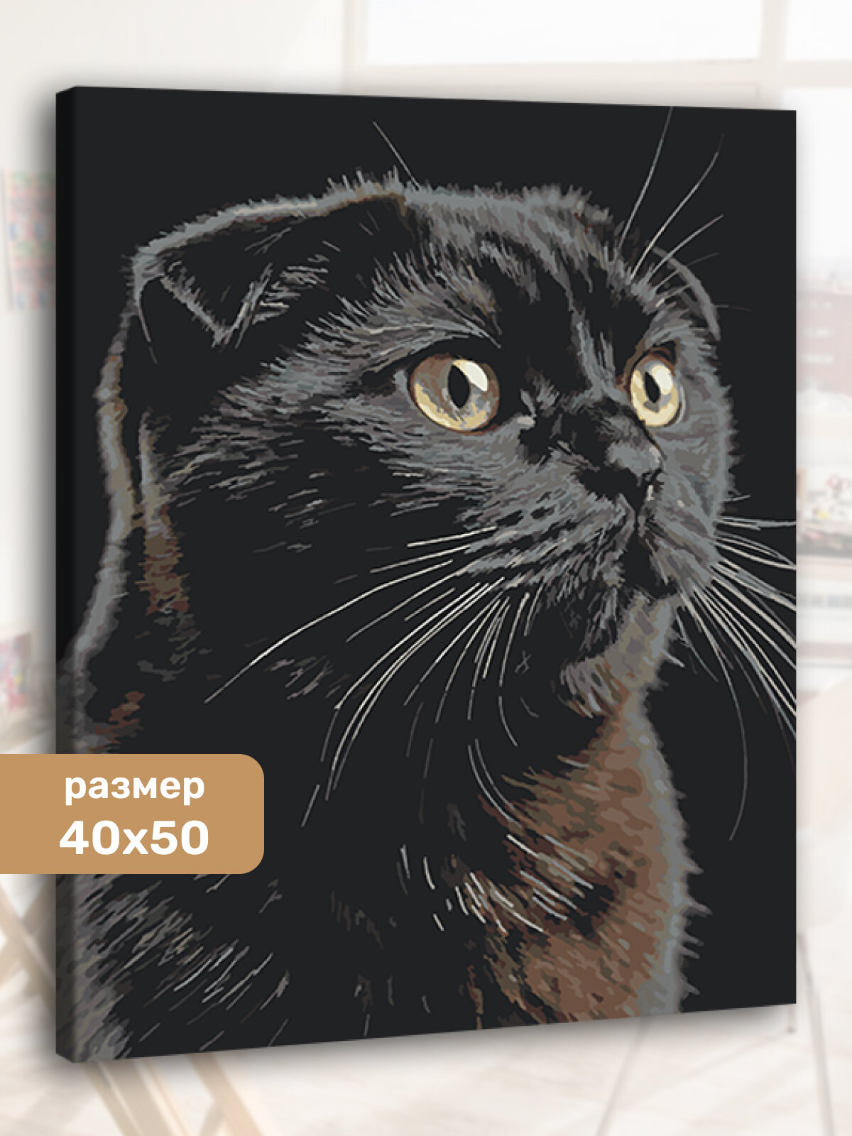 Картина по номерам на холсте и подрамнике"кот Скоттиш Фолд" 40x50см