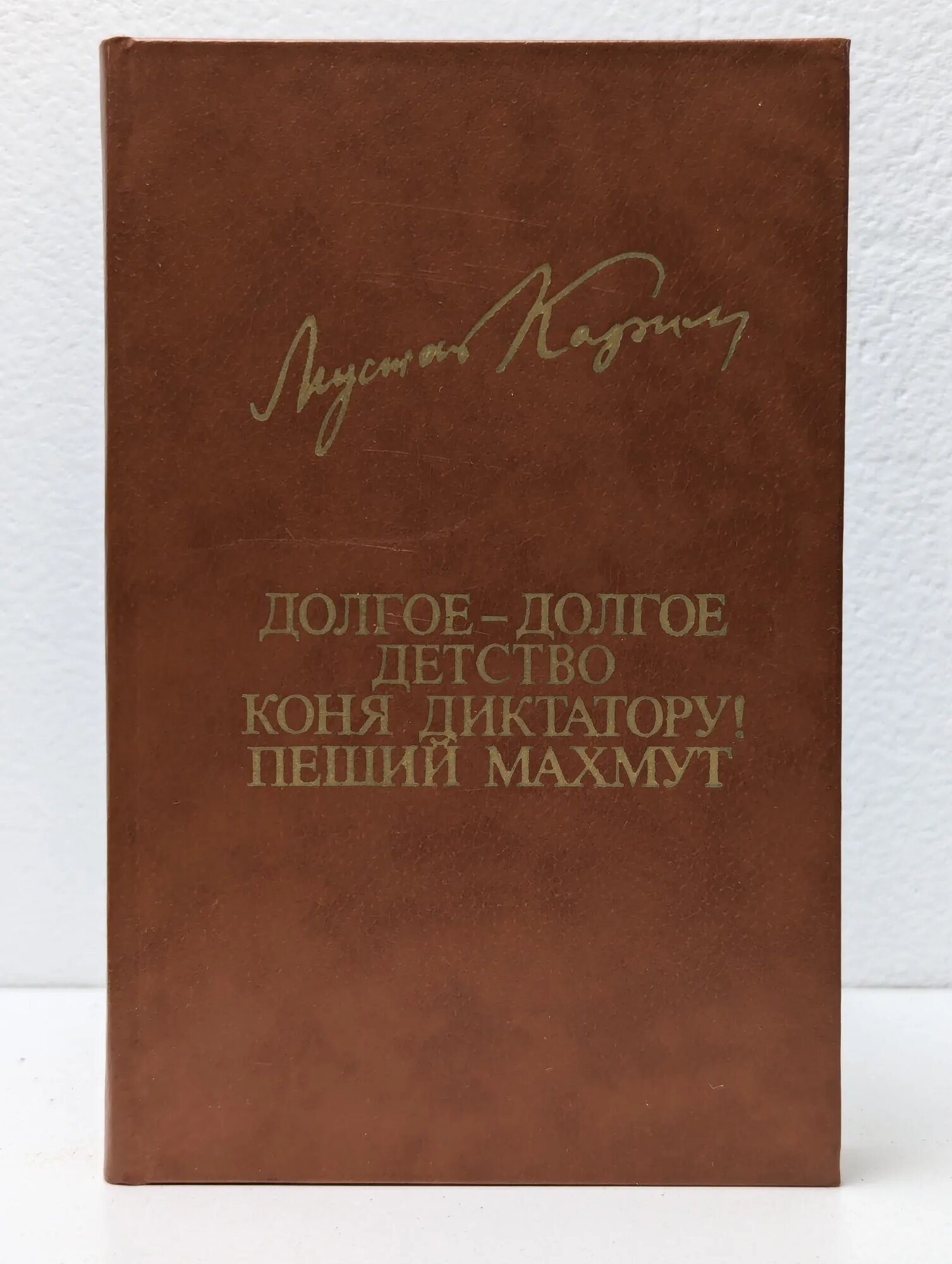 Долгое-долгое детство. Коня диктатору! Пеший Махмут Карим Мустай 1984
