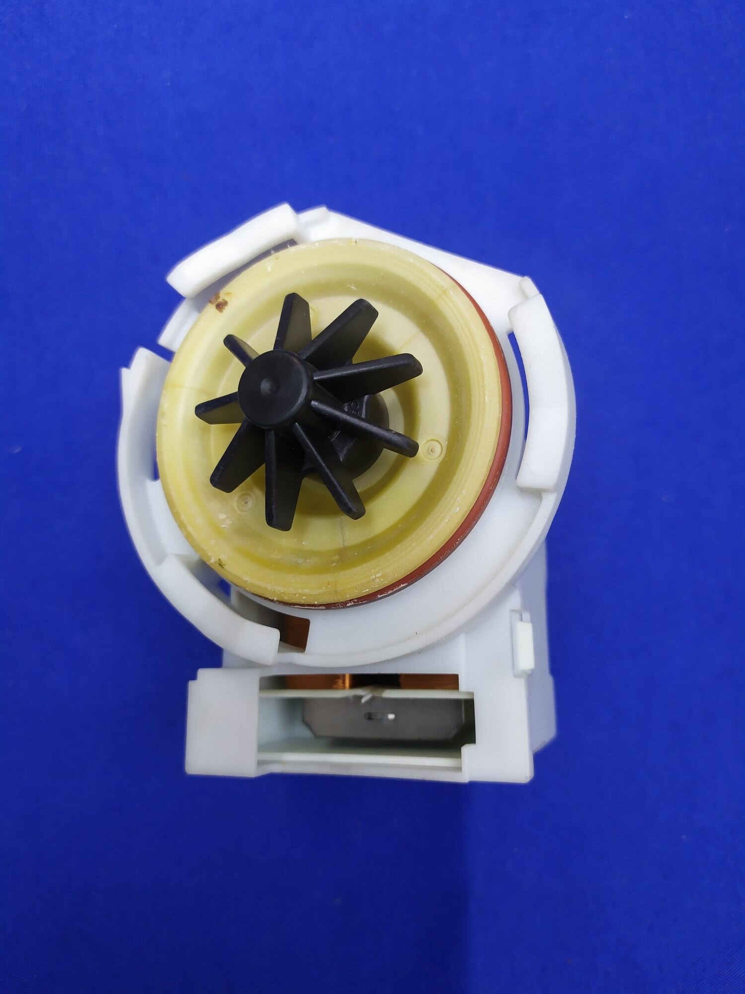 160023601 Сливной насос Помпа для DSG 0517 Indesit Посудомоечная машина Другое арт. 14156