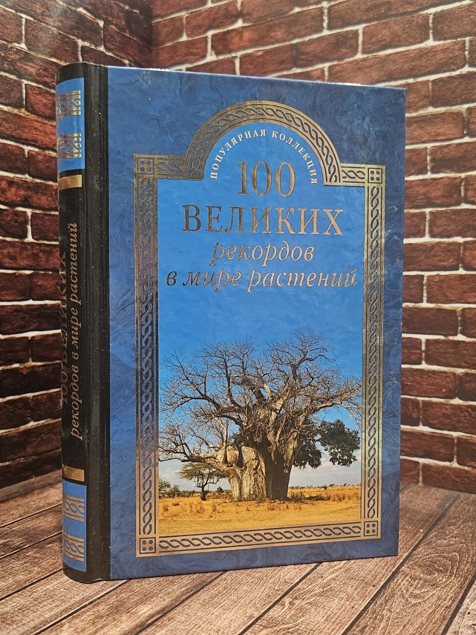 100 великих рекордов в мире растений Бернацкий Анатолий Сергеевич 2016 год