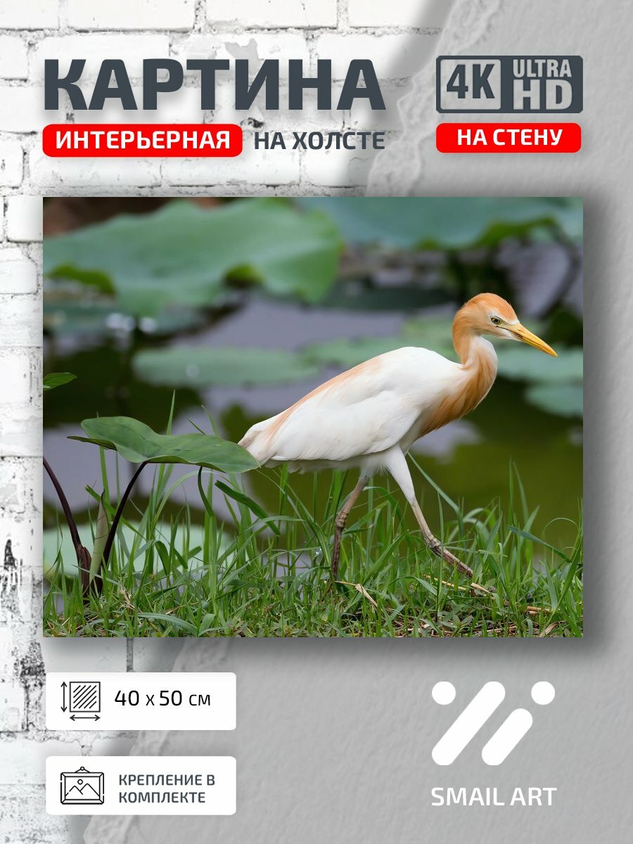 Картина на холсте интерьерная 40 на 50 на стену Птицы Landscape для офиса пейзаж интерьер