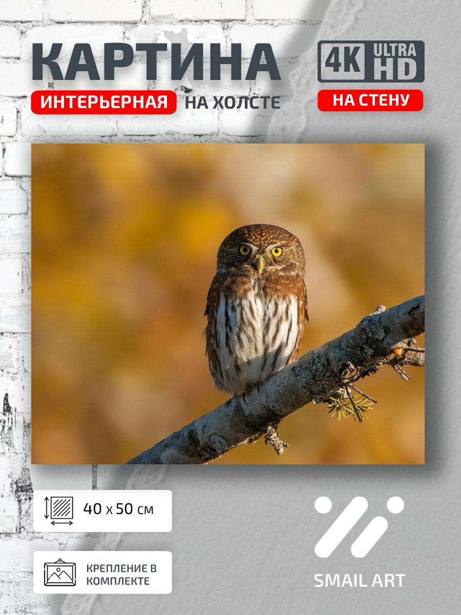 Картина на холсте интерьерная 40 на 50 на стену Птица Landscape для офиса пейзаж интерьер
