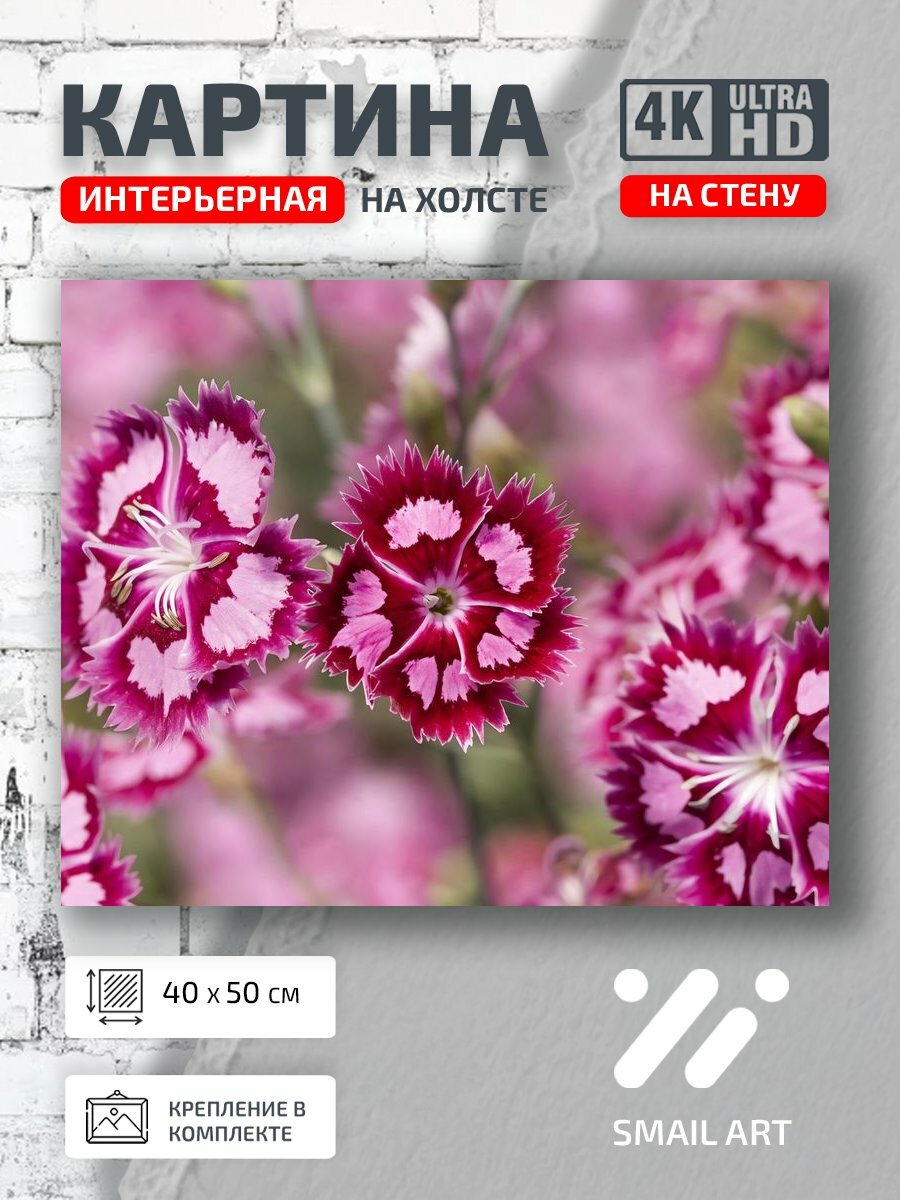 Картина на холсте интерьерная 40 на 50 на стену Бордовые Landscape для спальни пейзаж декор