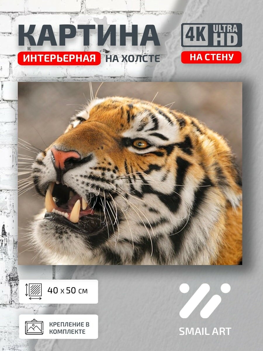 Картина на холсте интерьерная 40 на 50 на стену Сибирский тигр для спальни атмосфера
