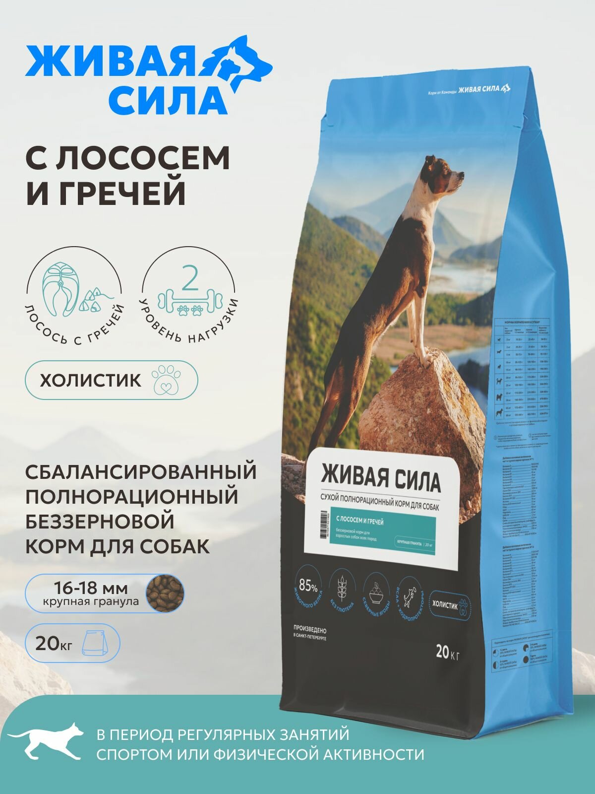 Живая Сила сухой полнорационный беззерновой корм с лососем и гречей для взрослых собак крупных и средних пород, крупная гранула, 20кг