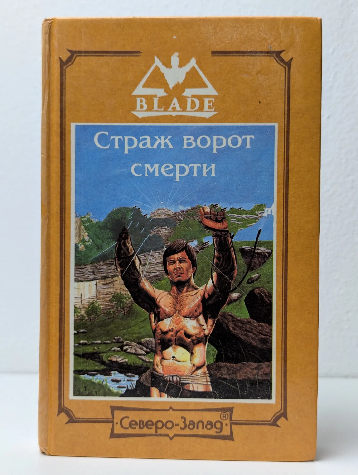 Страж ворот смерти Дворкин Дмитрий, Гордин Алексей 1994