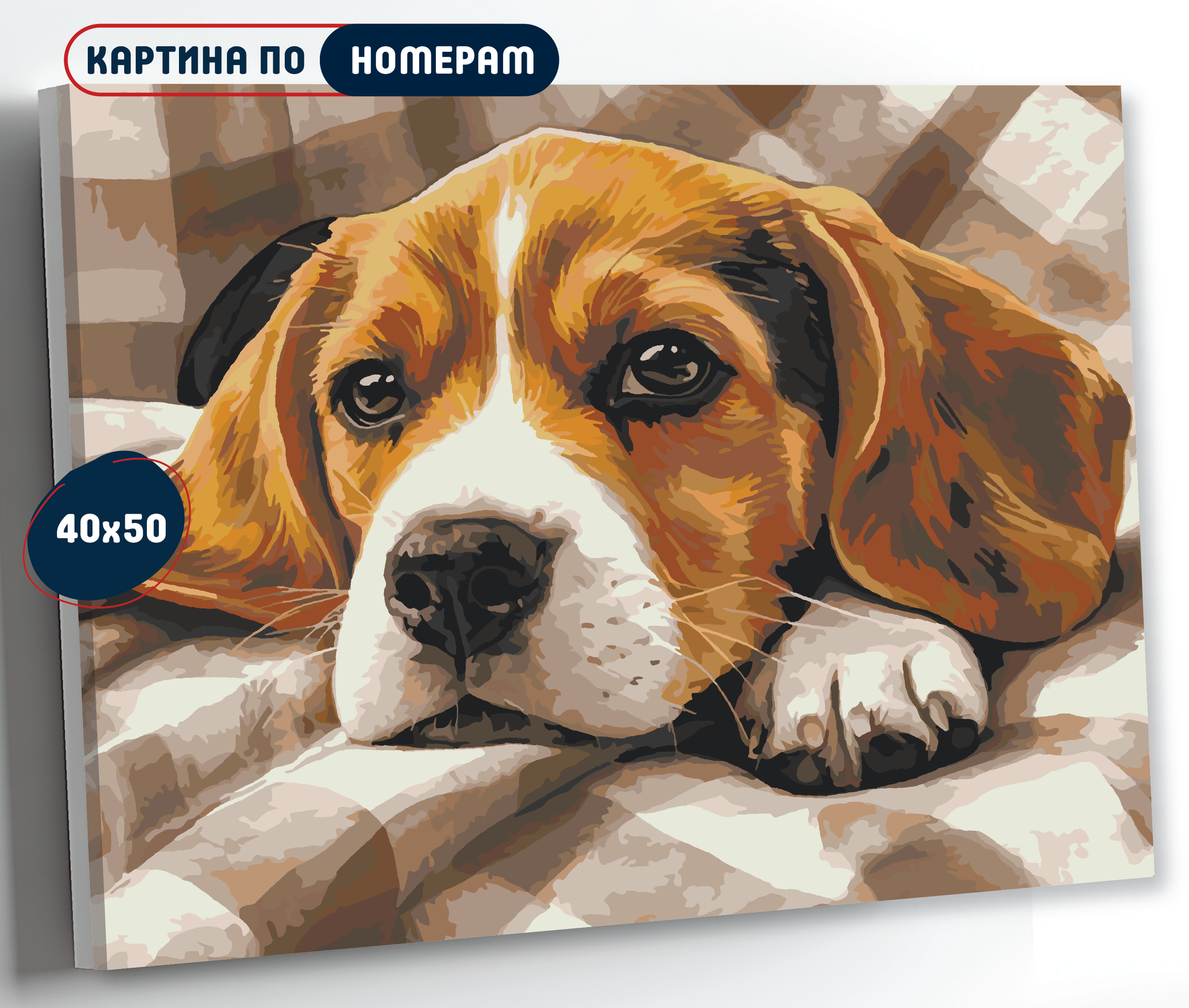 Картина по номерам "Бигль", Холст на подрамнике 40х50, набор для рисования