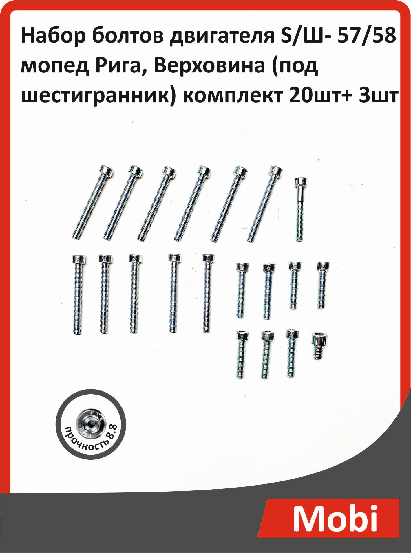 Набор болтов двигателя S/Ш- 57/58 мопед Рига, Верховина (под шестигранник) комплект 20шт+ 3шт