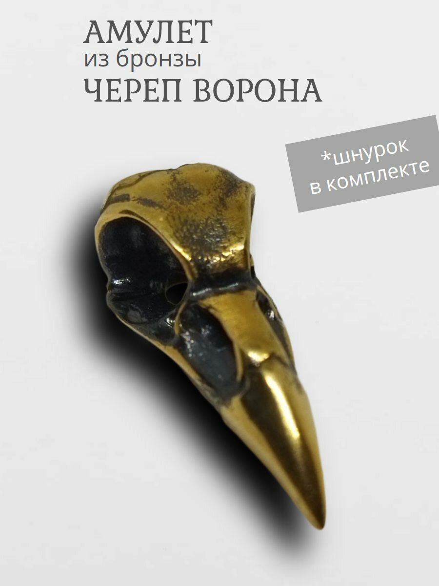 Амулет скандинавский "Череп ворона, символ защиты от врагов", 3,5х1,3х1,3см, бронза