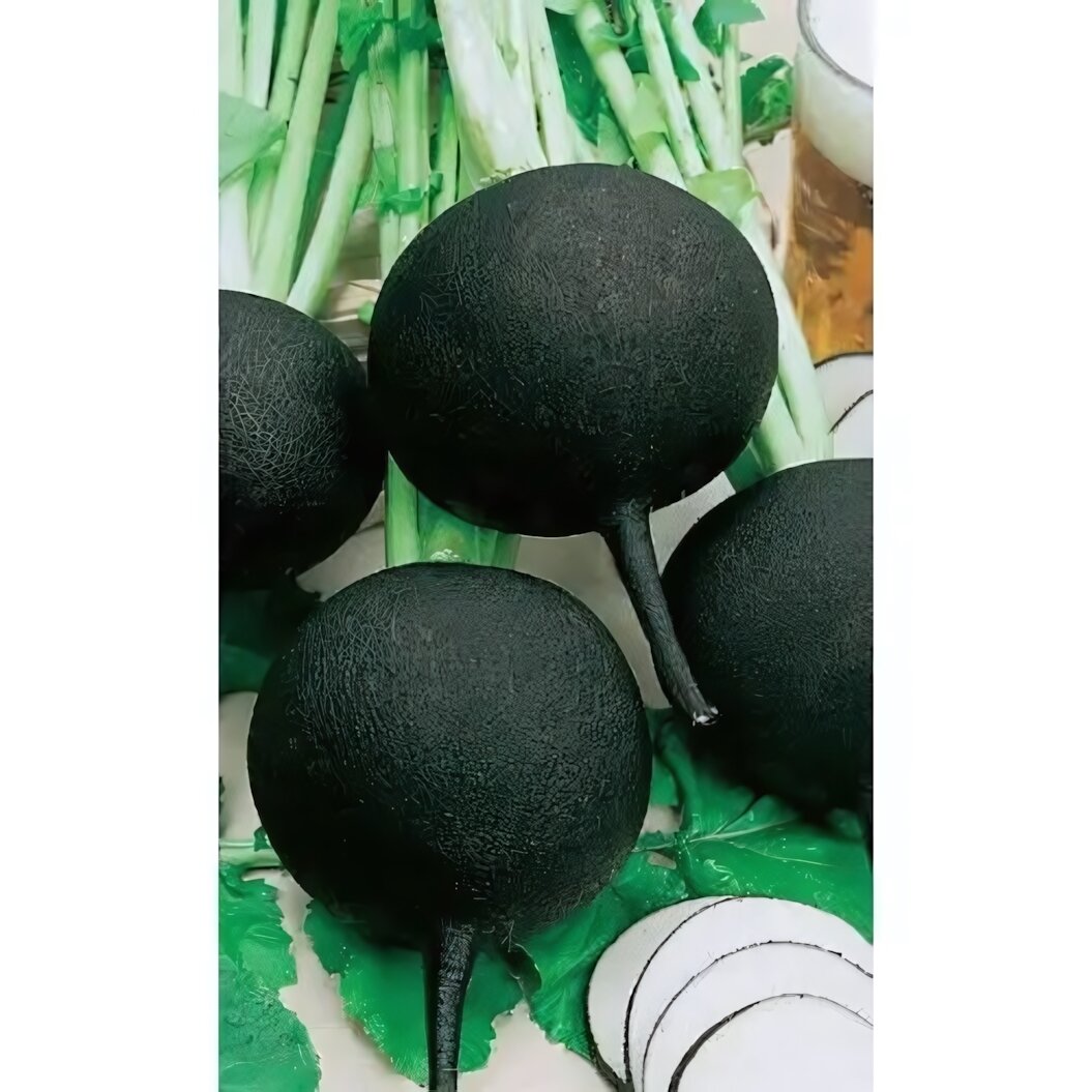 Семена редьки зимняя круглая черная, 550 г, плотная мякоть, для хранения