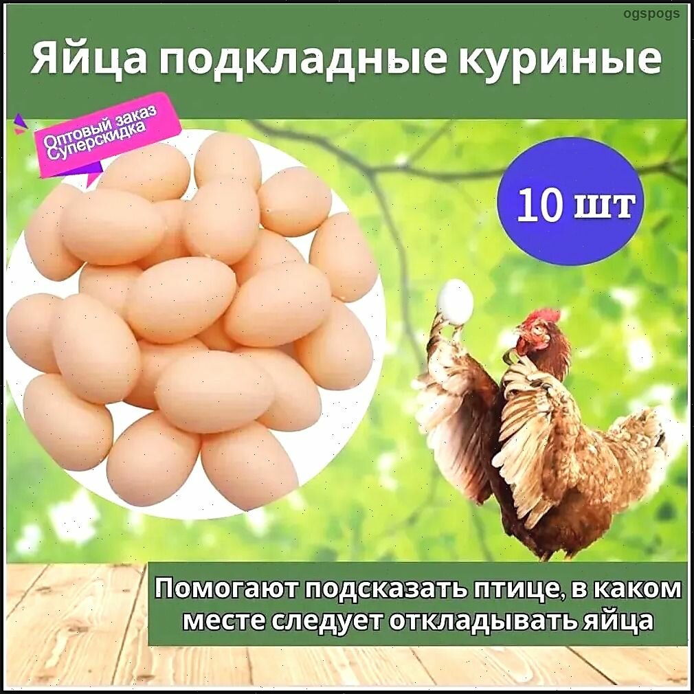 Яйцо подкладное куриное ( муляж) 10 шт