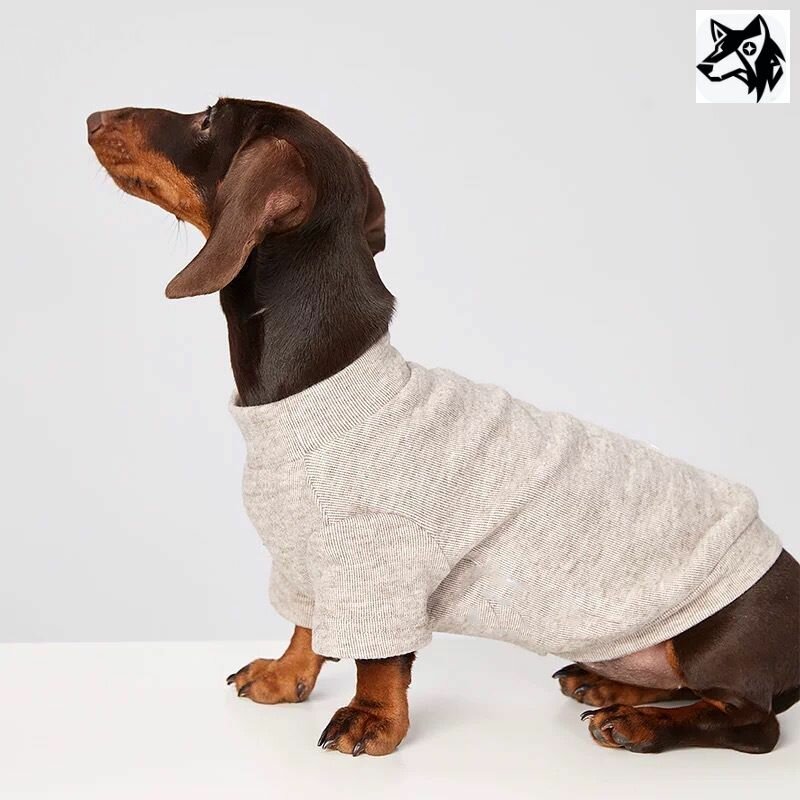 Легкая и роскошная одежда, защищающая от холода, подходит для такс