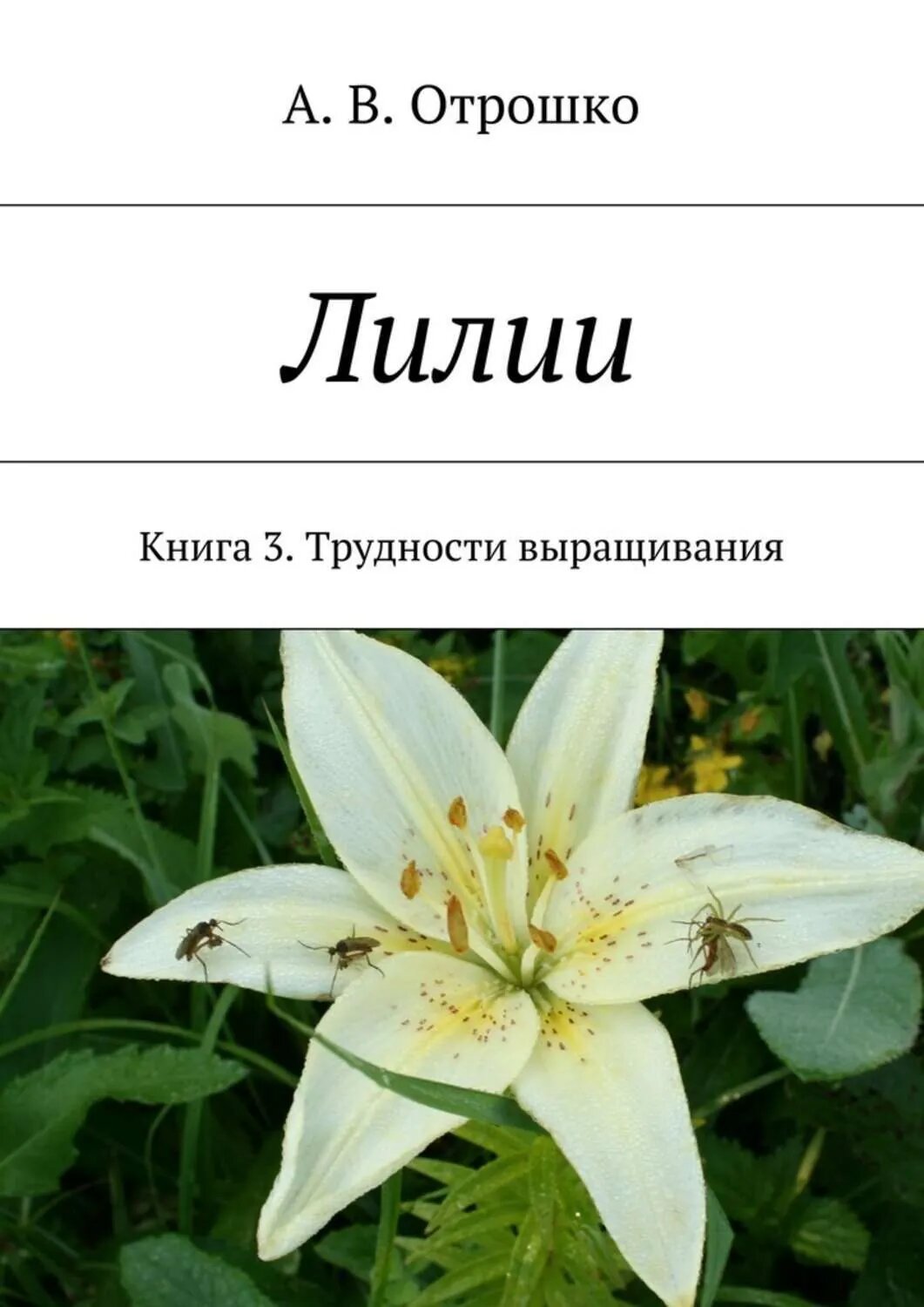 Лилии [Цифровая книга]