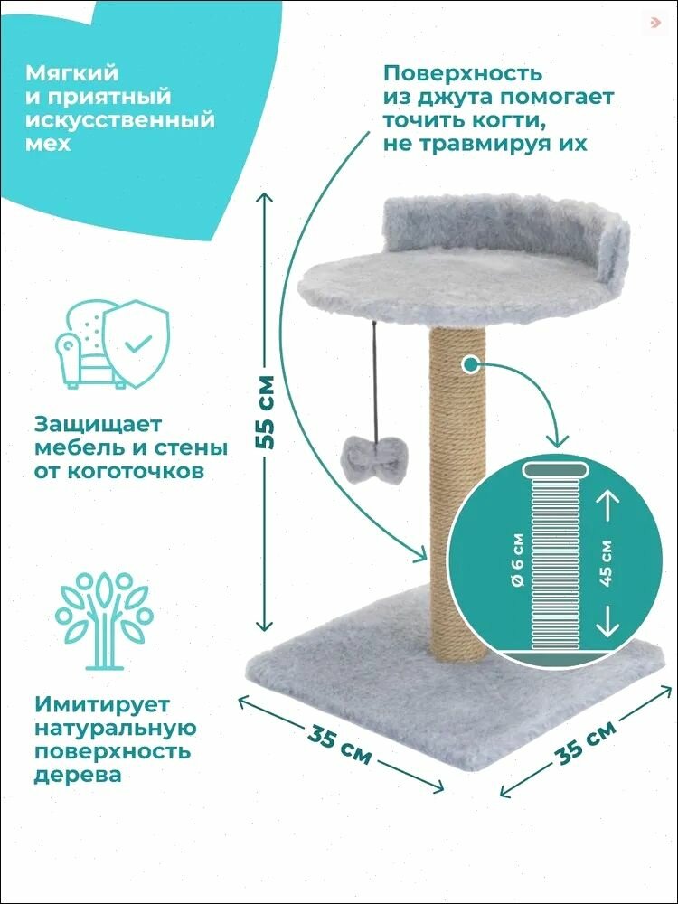 Когтеточка — фото 1