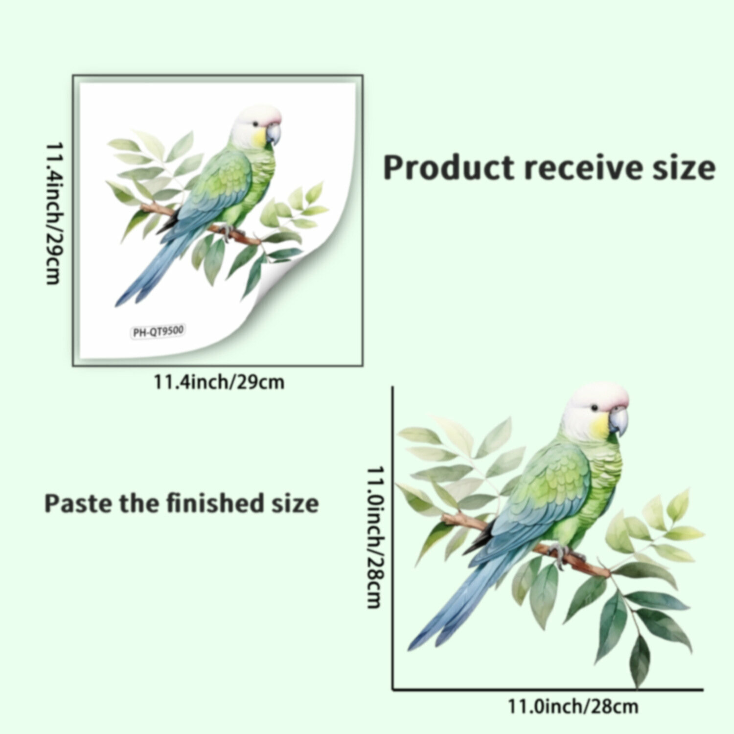 Трансграничный новый амазонка дома креативный попугай ветка красивая наклейка на стену для детской комнаты спальни