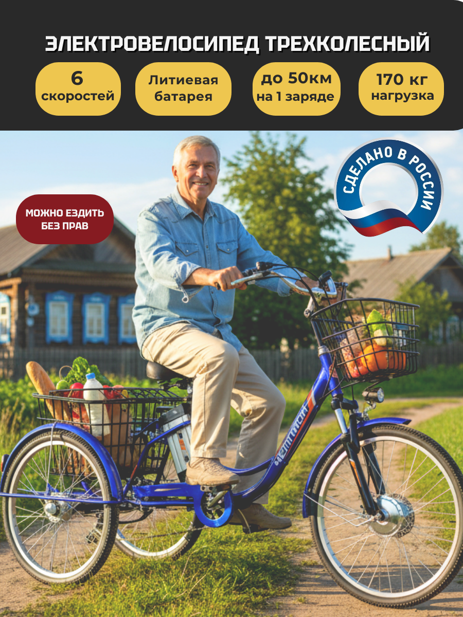 Электровелосипед трехколесный взрослый синий РВЗ Чемпион 24, 250 В, 10 А, 6 скоростей